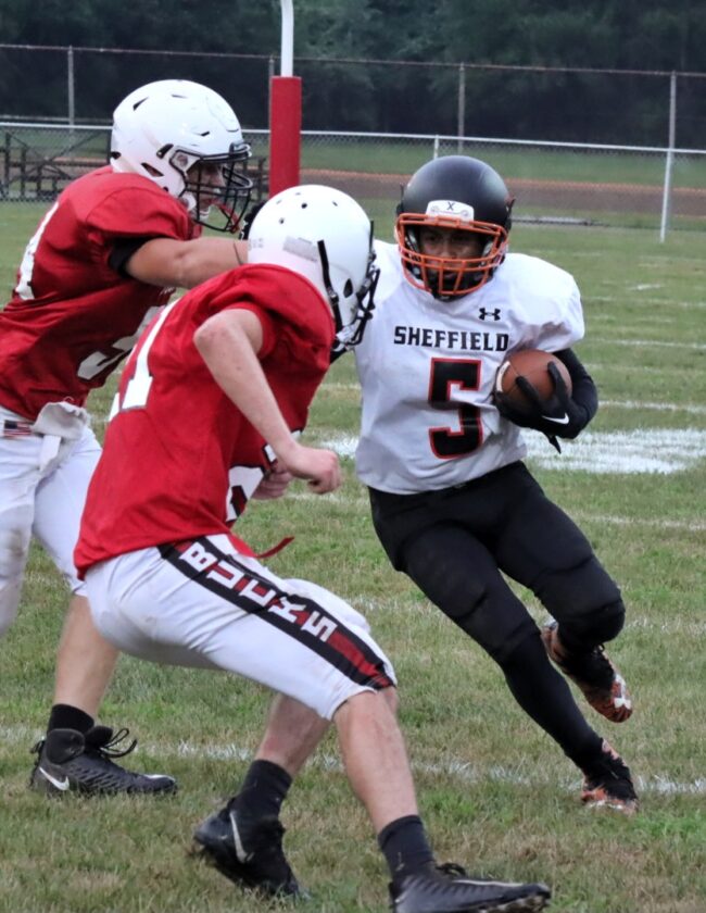 Wolverines fall to Bucktail | News, Sports, Jobs - Times Observer